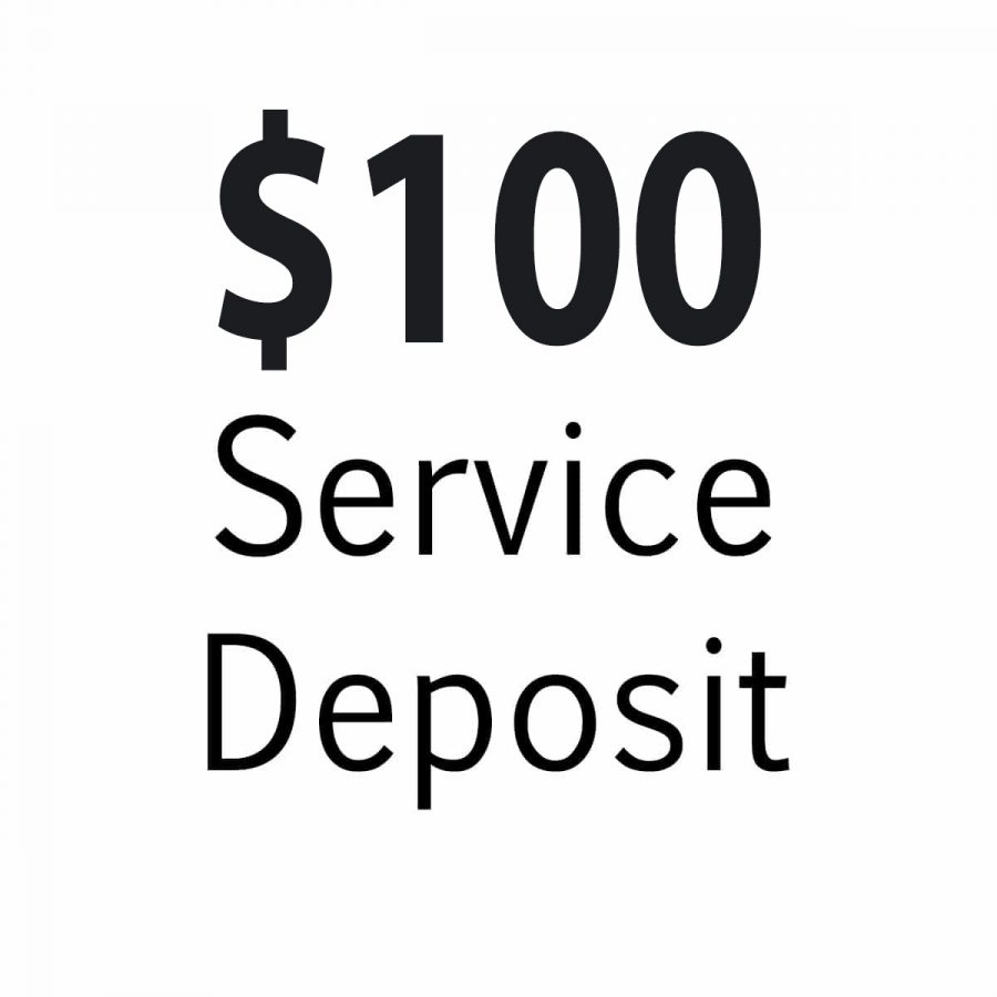 $100 Service Deposit - Element Hair