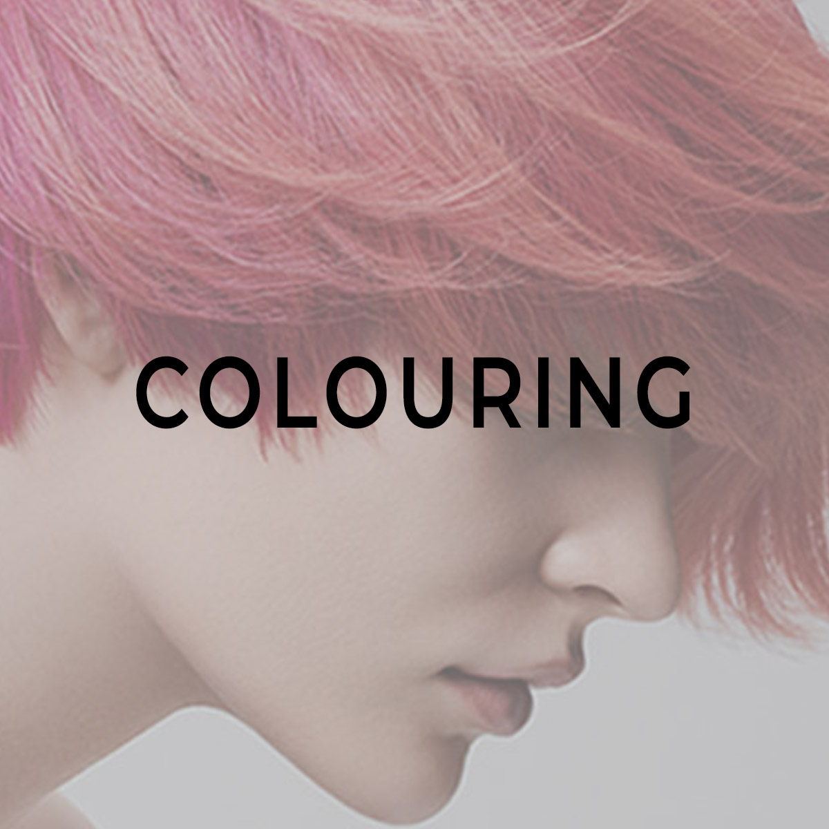 Collections | Element Hair